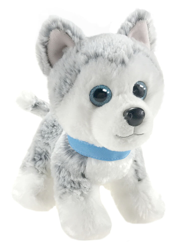 Dogs Archives - First and Main